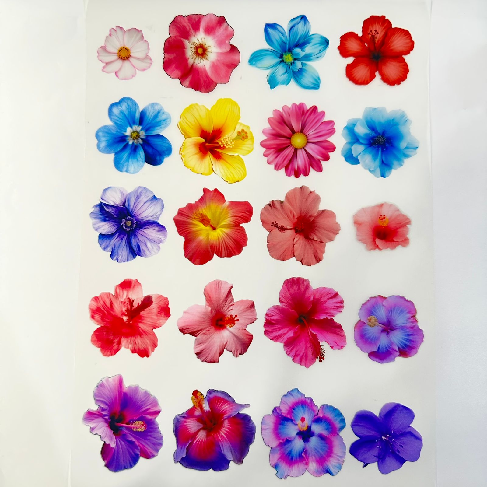 Flower insert sheet 003