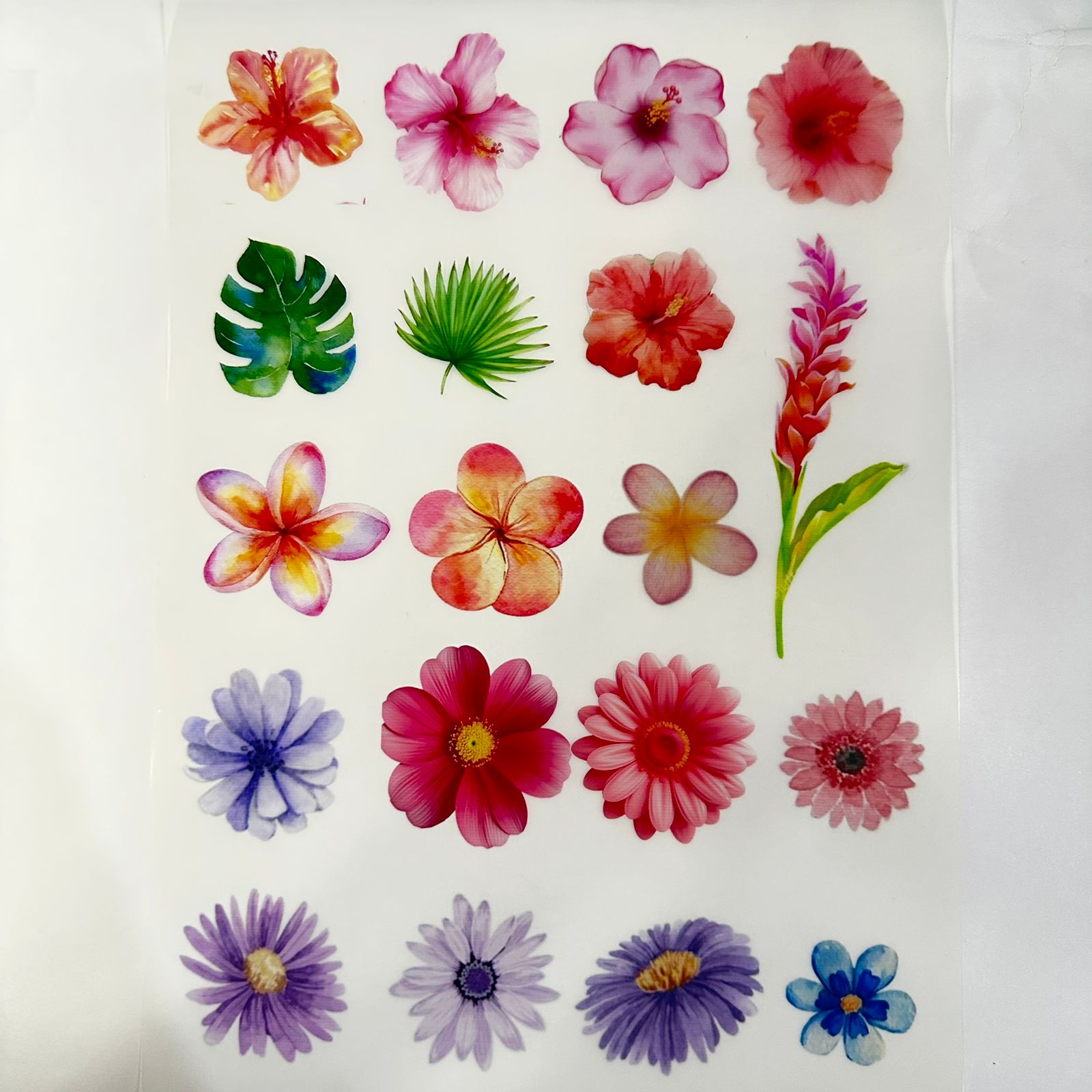 Flower insert sheet 005