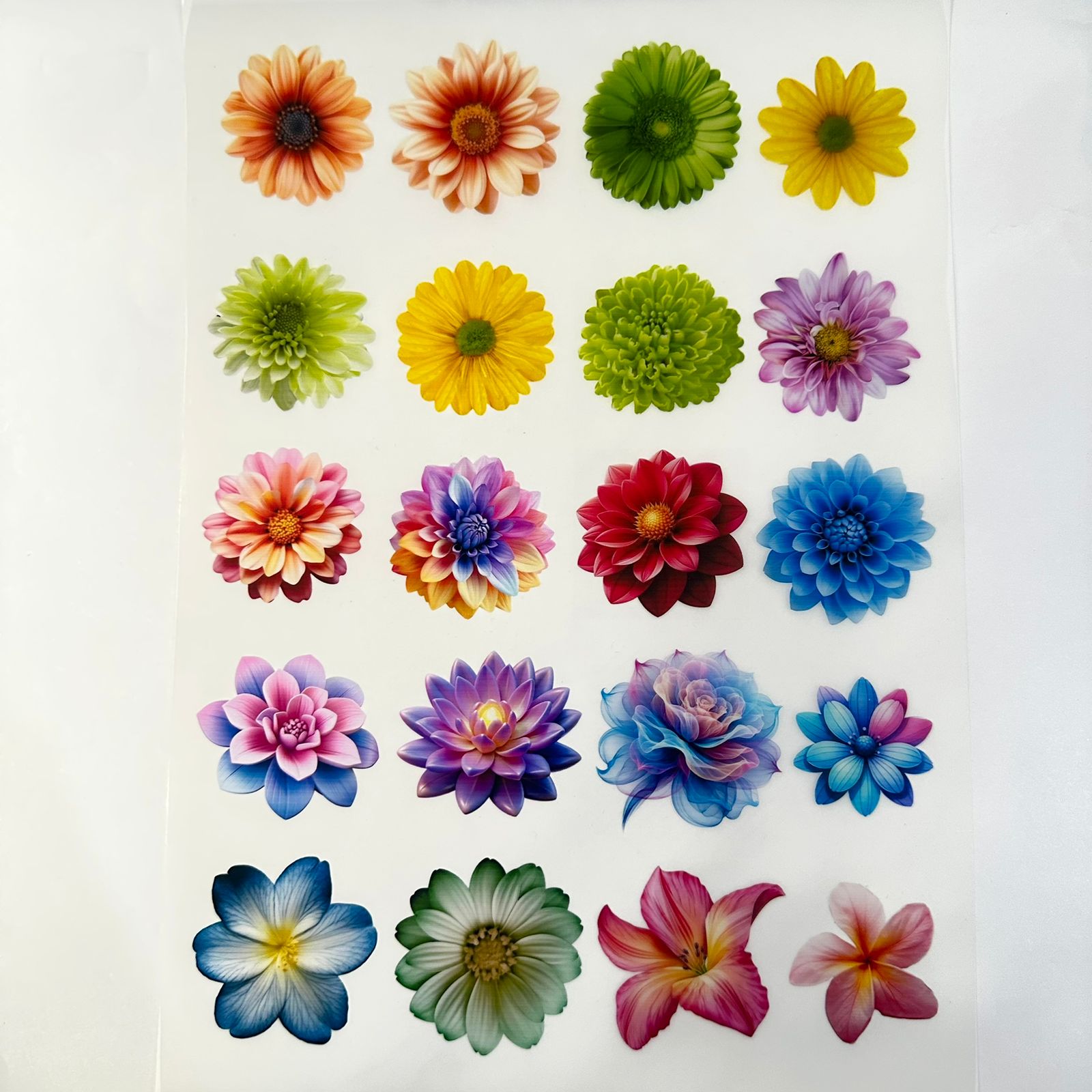 Flower insert sheet 006